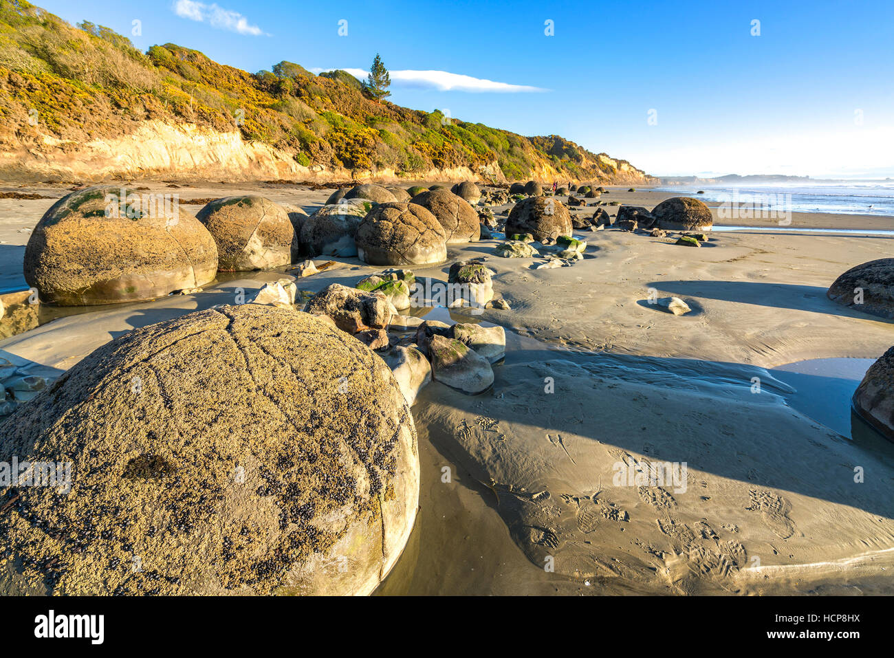 Big rock at moeraki boulders beach, New Zealand Stock Photo - Alamy