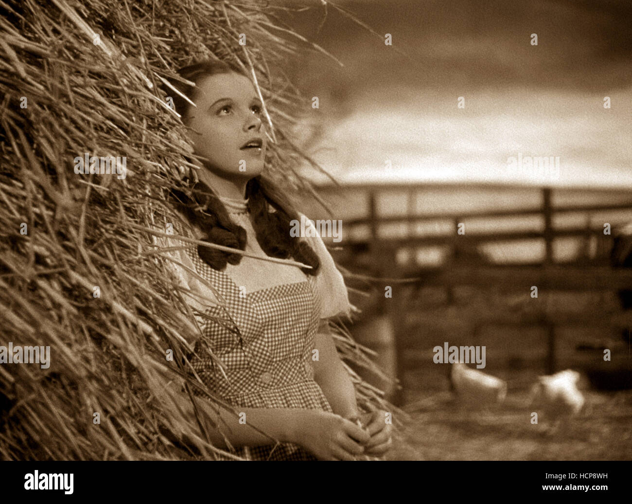 THE WIZARD OF OZ, Judy Garland, 1939 Stock Photo - Alamy