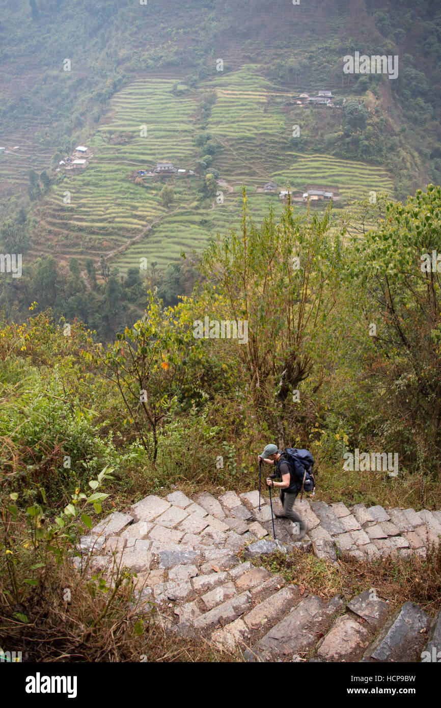 Tourist trekking ABC in Nepal Stock Photo - Alamy
