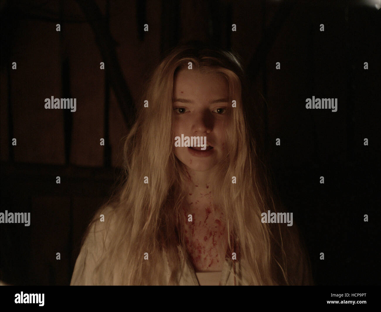 THE WITCH, (aka THE VVITCH: A NEW-ENGLAND FOLKTALE), Anya Taylor-Joy ...