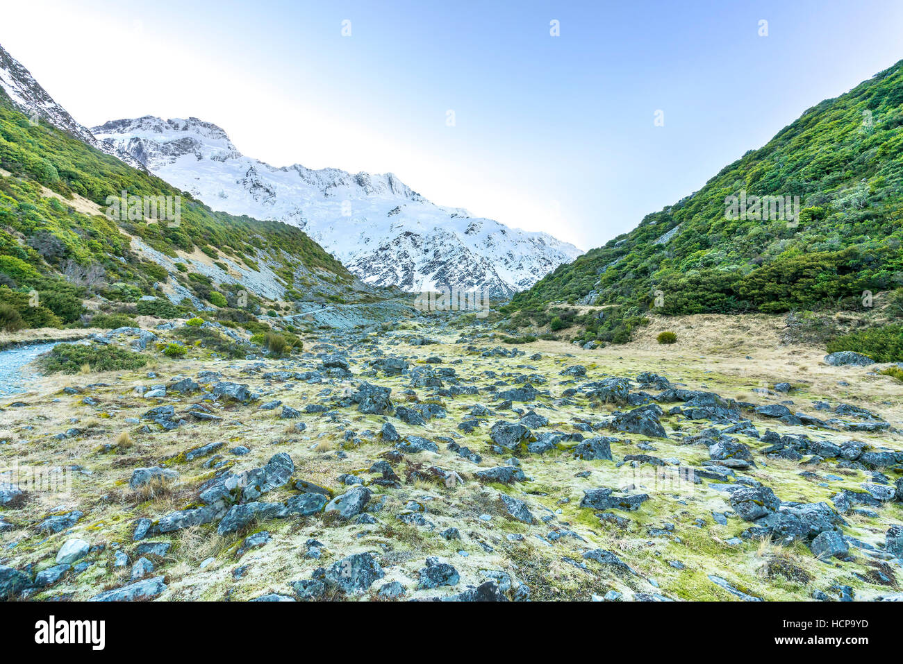 Rock with mount cook background Stock Photo - Alamy