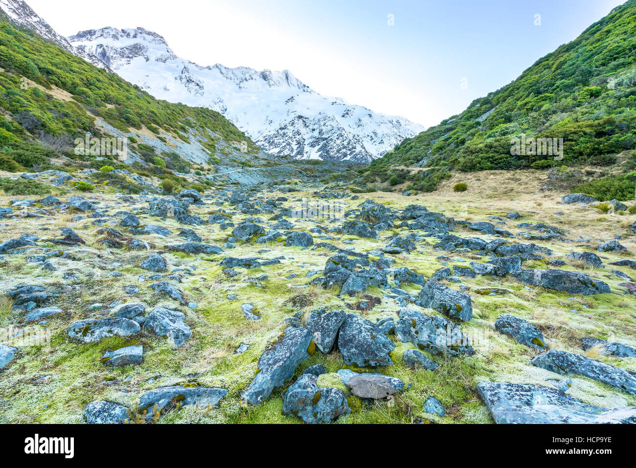 Rock with mount cook background Stock Photo - Alamy