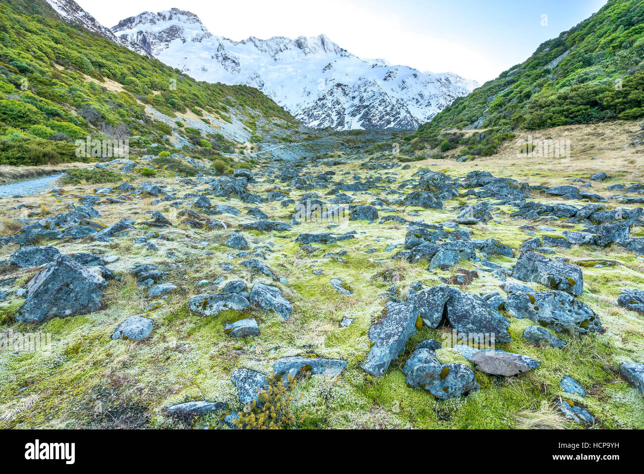 Rock with mount cook background Stock Photo - Alamy