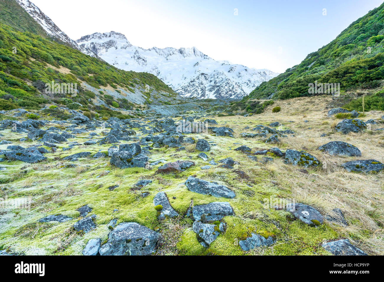 Rock with mount cook background Stock Photo - Alamy