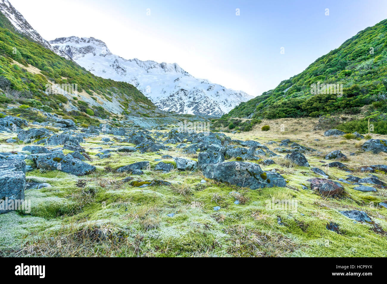 Rock with mount cook background Stock Photo - Alamy