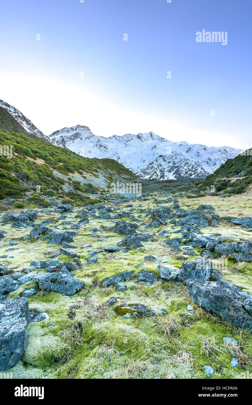 Rock with mount cook background Stock Photo - Alamy