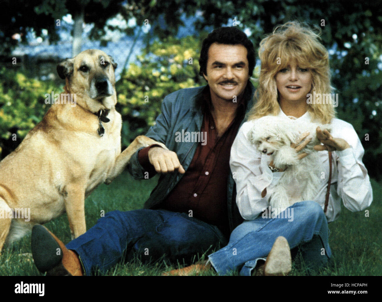 BEST FRIENDS, Burt Reynolds, Goldie Hawn, 1982 Stock Photo - Alamy
