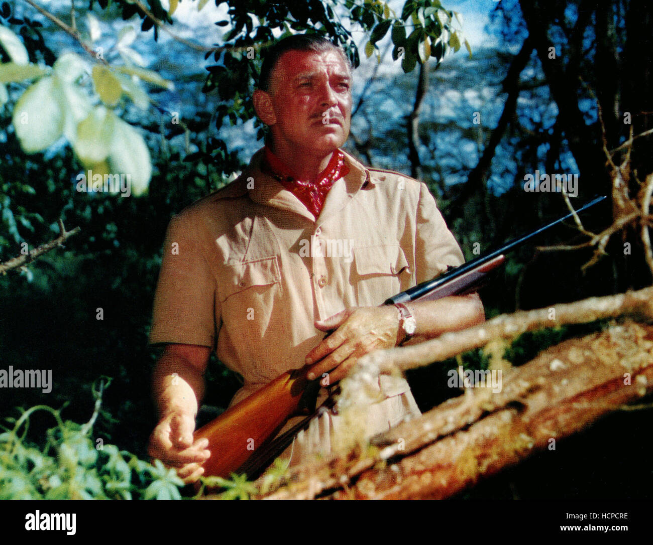 MOGAMBO, Clark Gable, 1953 Stock Photo - Alamy