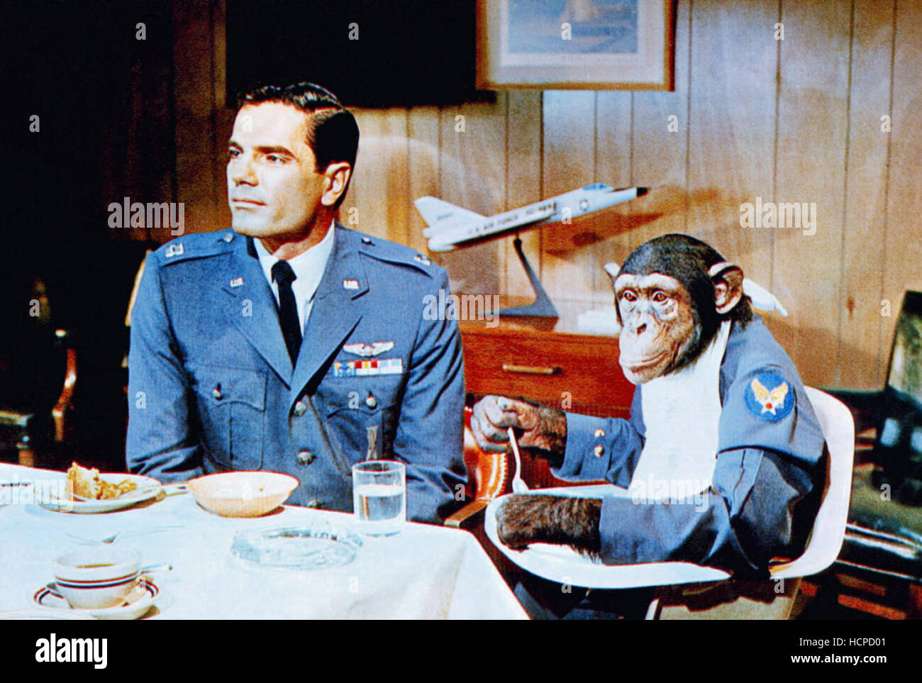 MOON PILOT, from left: Tom Tryon, Charlie the chimp, 1962 Stock Photo ...