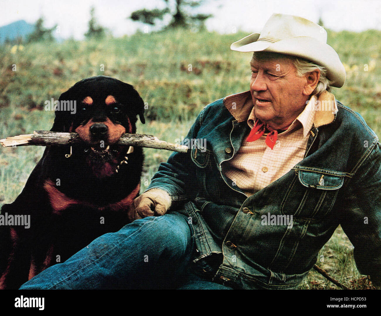 MUSTANG COUNTRY, Joel McCrea, 1976 Stock Photo - Alamy