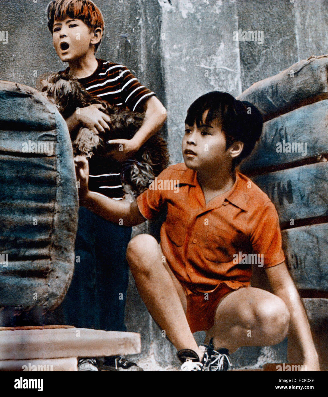 NO PLACE TO HIDE, from left: Hugh Corcoran, Ike Jarlego Jr., 1956 Stock ...