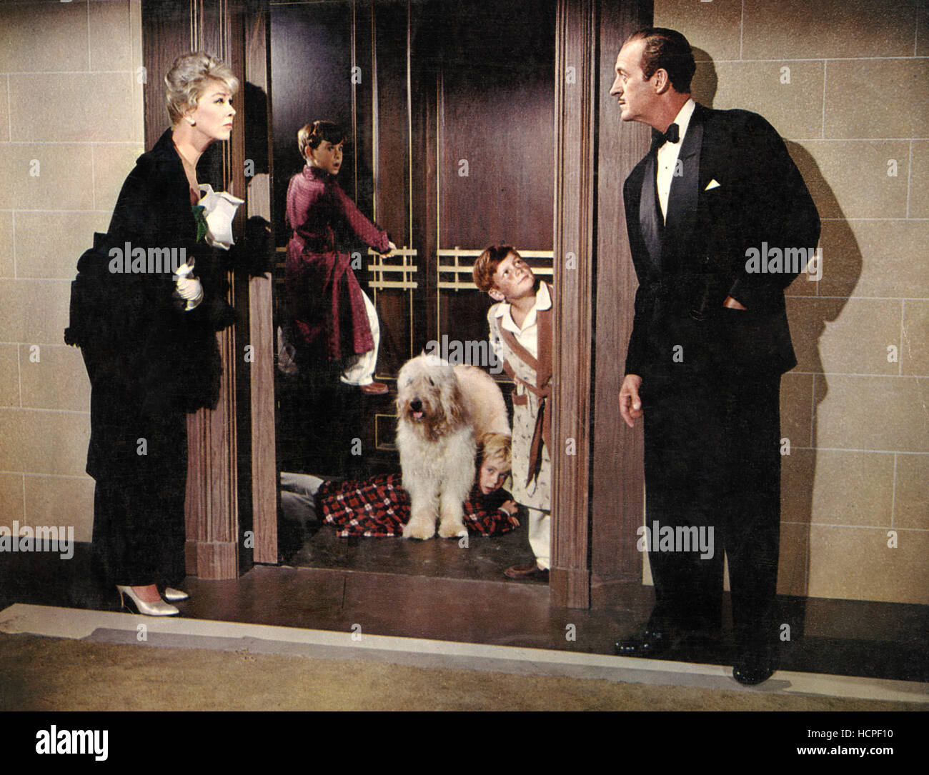 PLEASE DON'T EAT THE DAISIES, Doris Day, Charles Herbert, Stanley ...