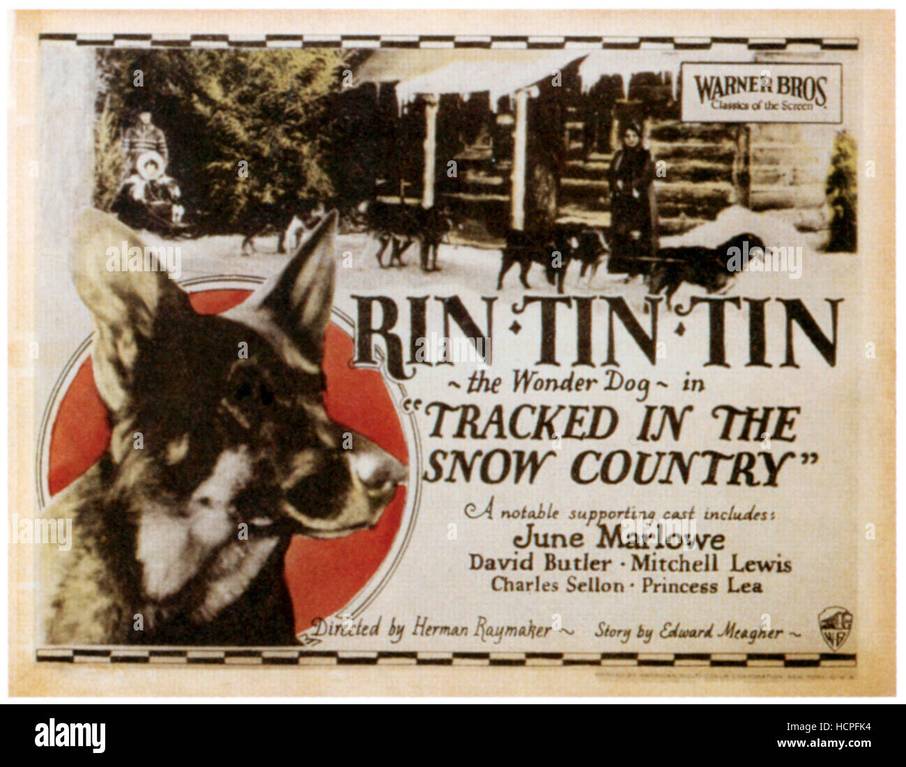 TRACKED IN THE SNOW COUNTRY, Rin Tin Tin, 1925 Stock Photo - Alamy