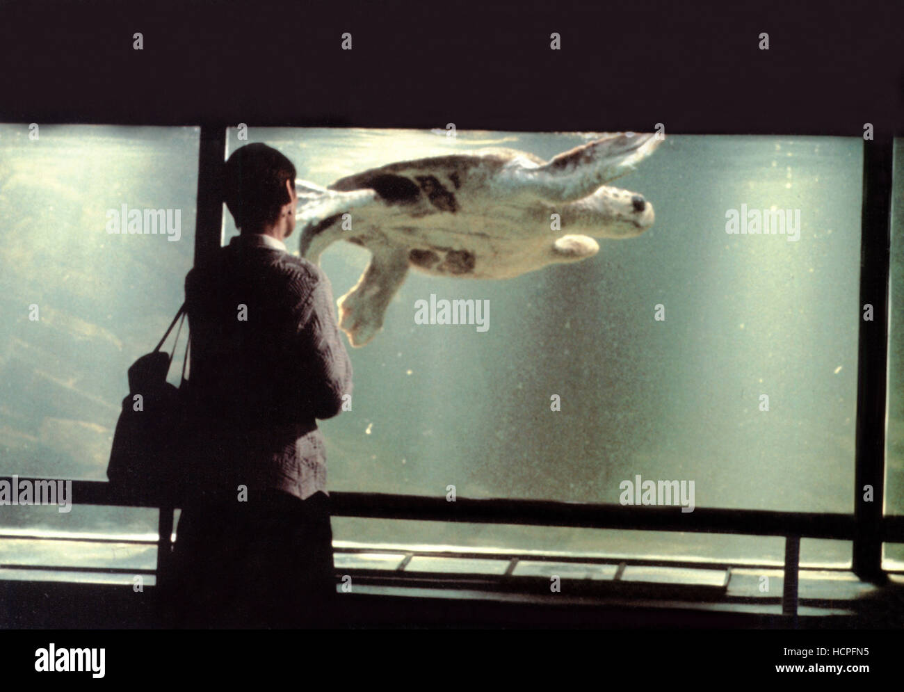 TURTLE DIARY, Glenda Jackson, 1985, (c)Samuel Goldwyn Films/courtesy ...