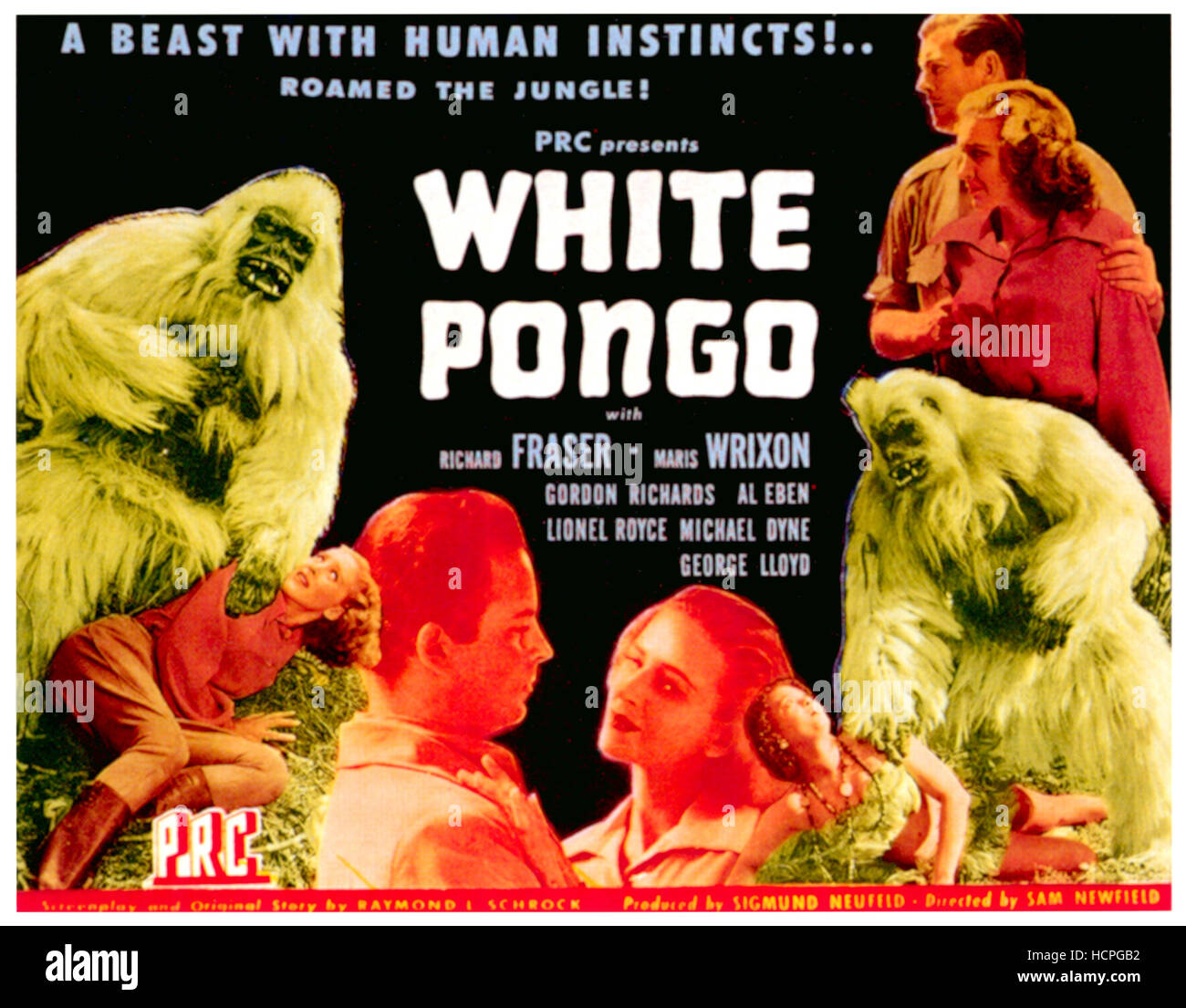 WHITE PONGO, Richard Fraser, Maris Wrixon, 1945 Stock Photo - Alamy