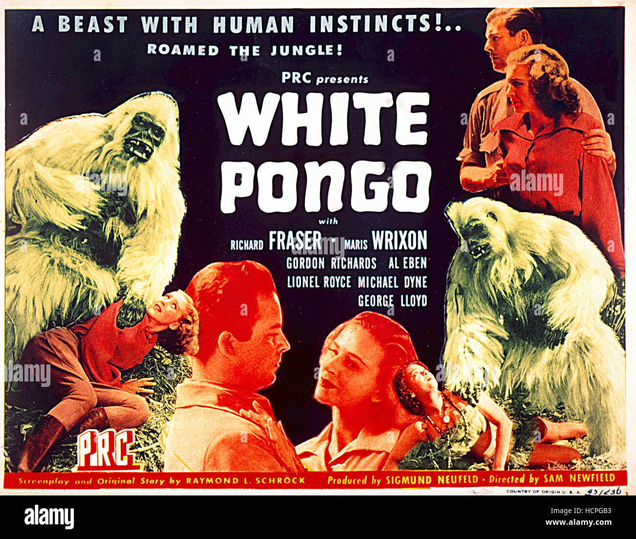 WHITE PONGO, Richard Fraser, Marix Wrixon, 1945 [sharper than previous ...