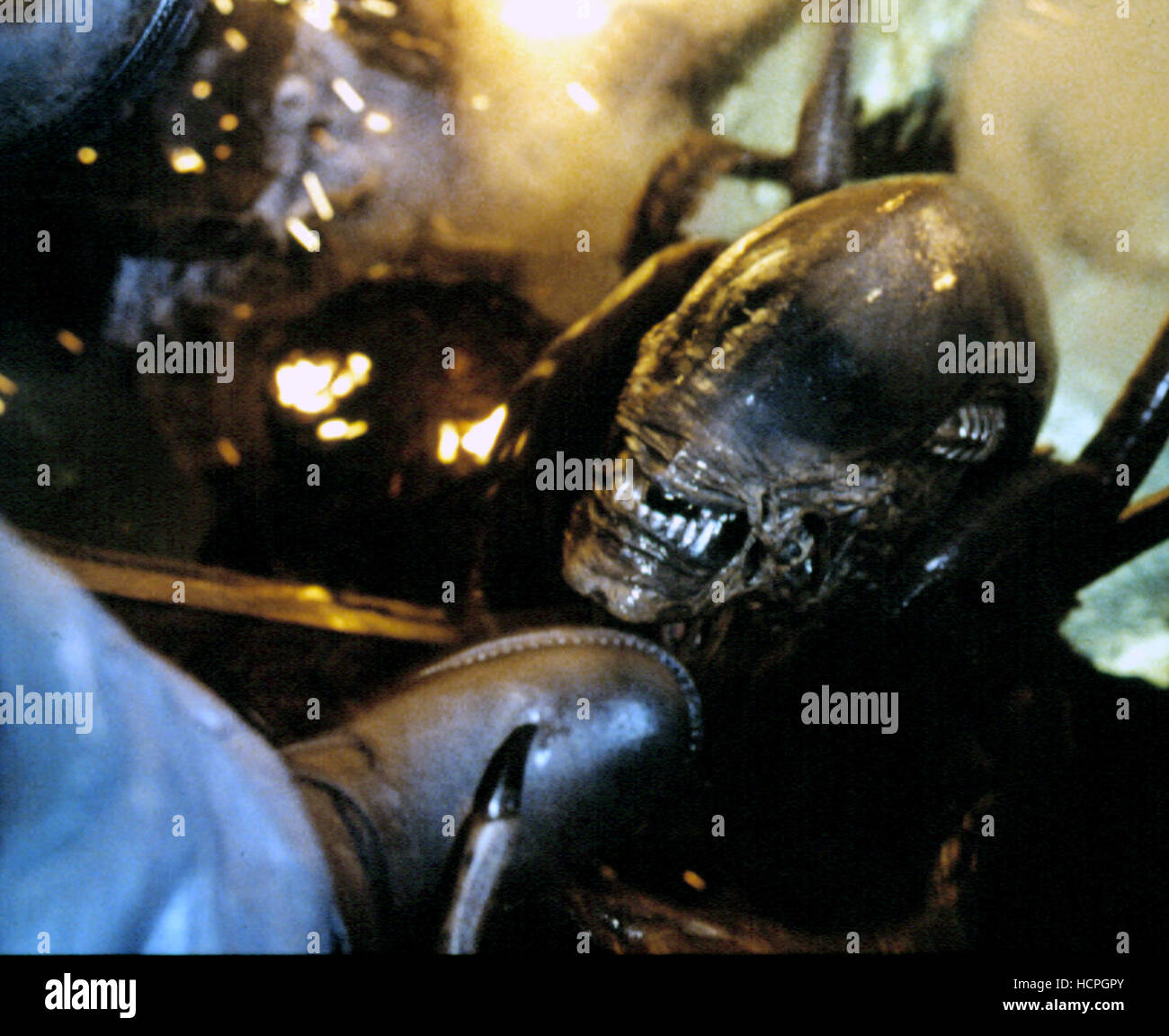 ALIEN: RESURRECTION, alien monster, 1997. TM and Copyright © 20th ...