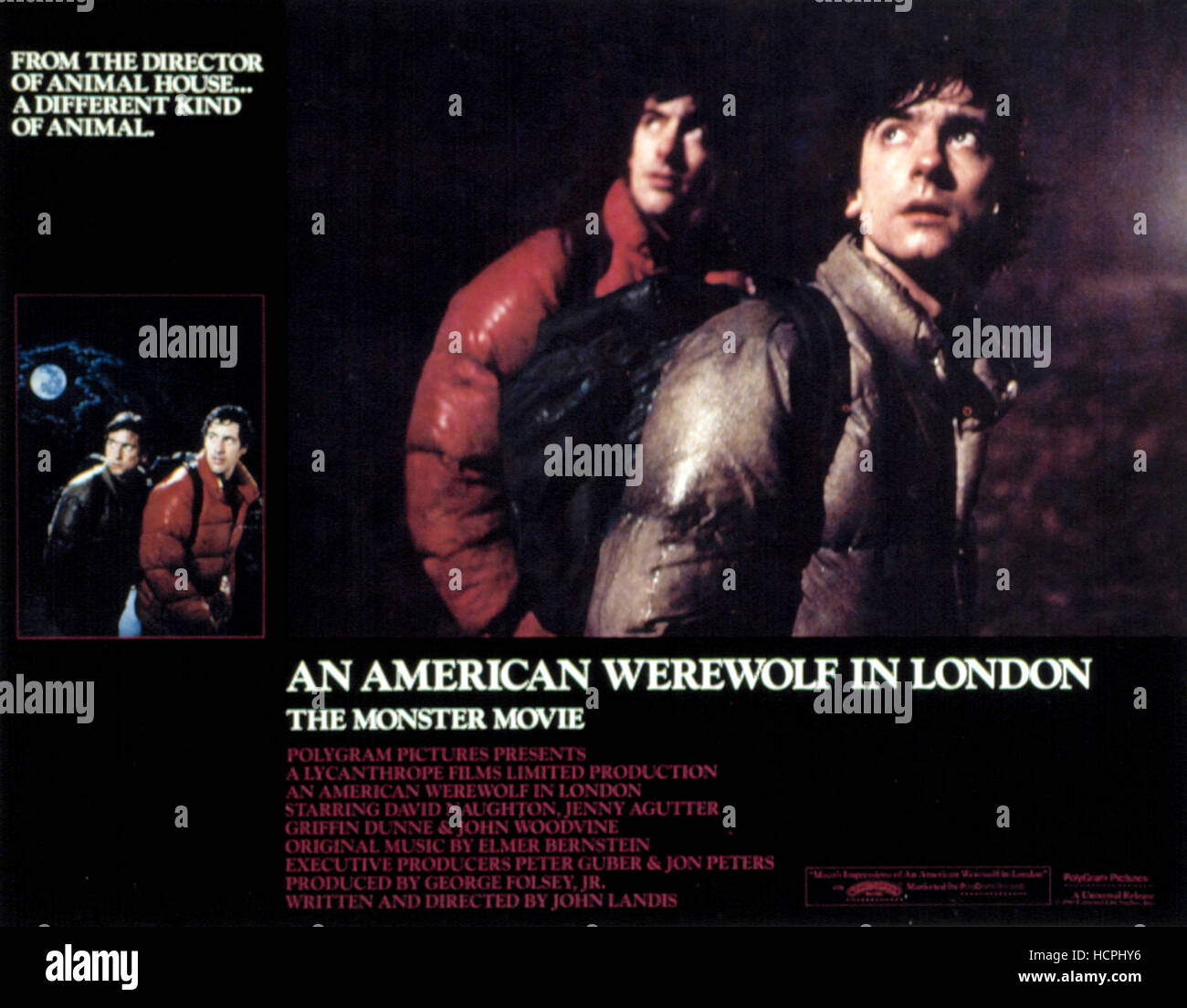 AMERICAN WEREWOLF IN LONDON, David Naughton, Griffin Dunne, 1981 Stock ...