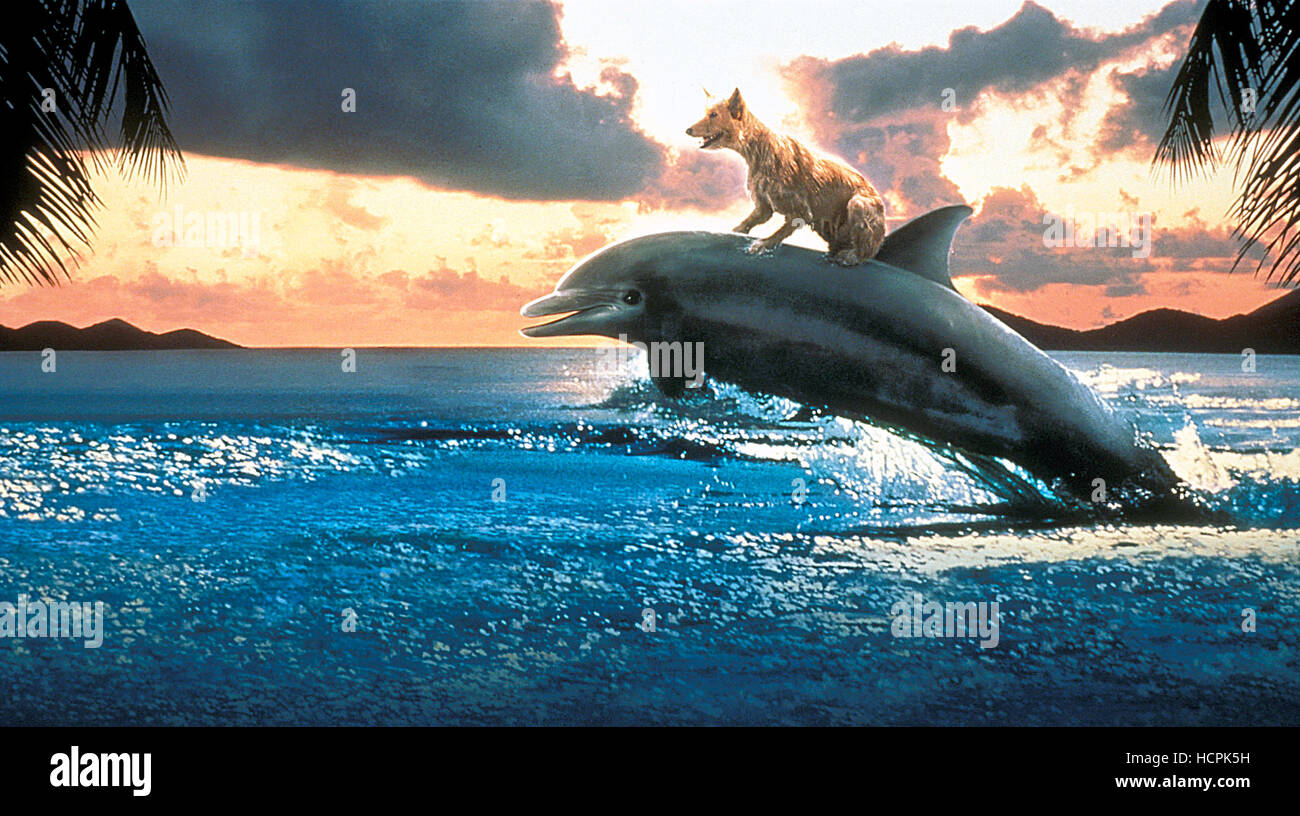 ZEUS AND ROXANNE, 1997, (c) MGM/courtesy Everett Collection Stock Photo ...