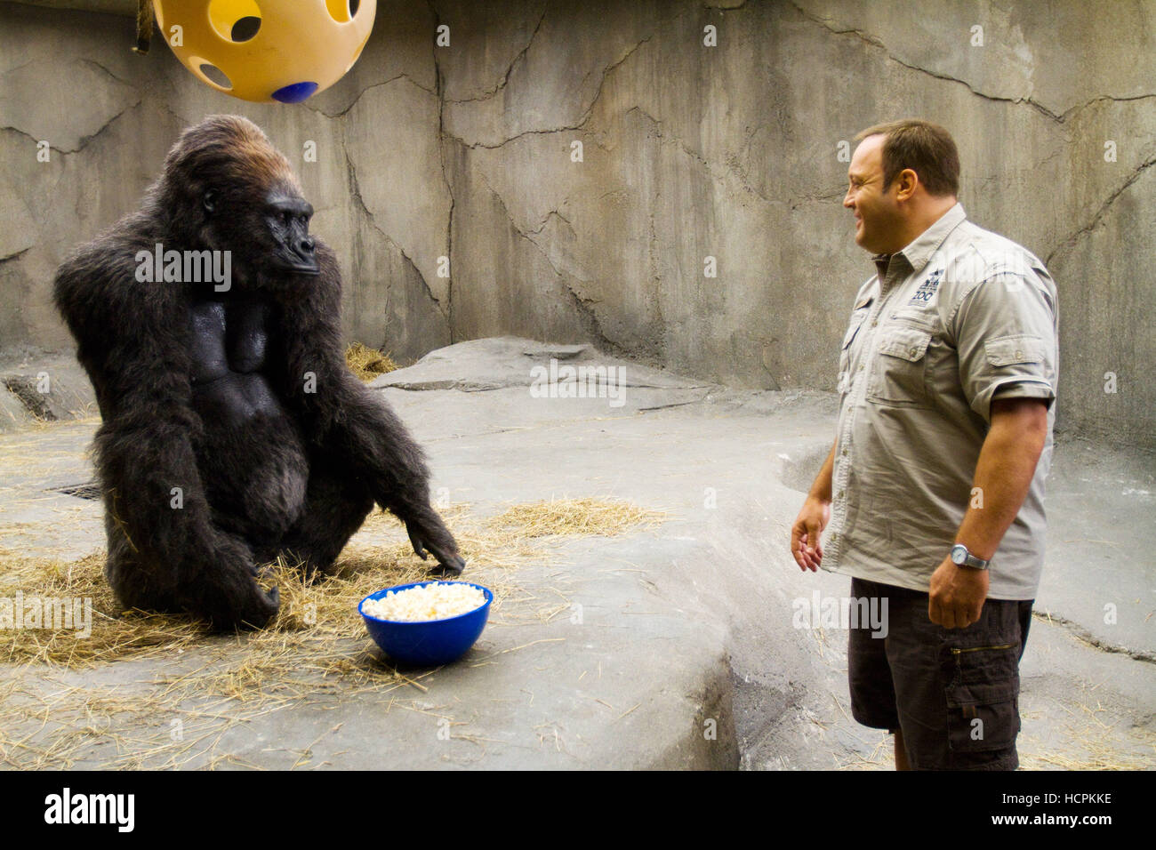 ZOOKEEPER, Kevin James, 2011. Ph: Tracy Bennett/©Sony Pictures/courtesy ...