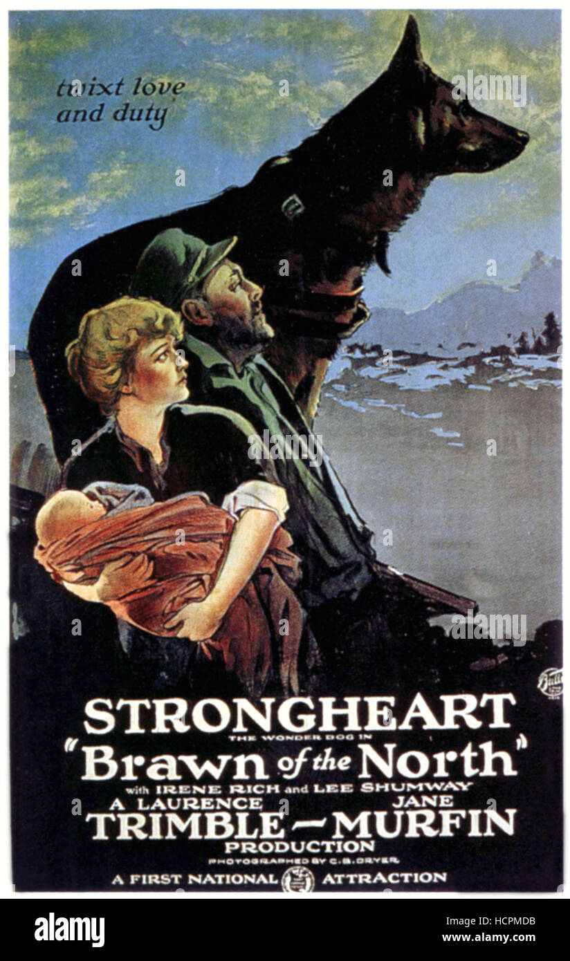 BRAWN OF THE NORTH, top: Strongheart the Dog, 1922 Stock Photo - Alamy