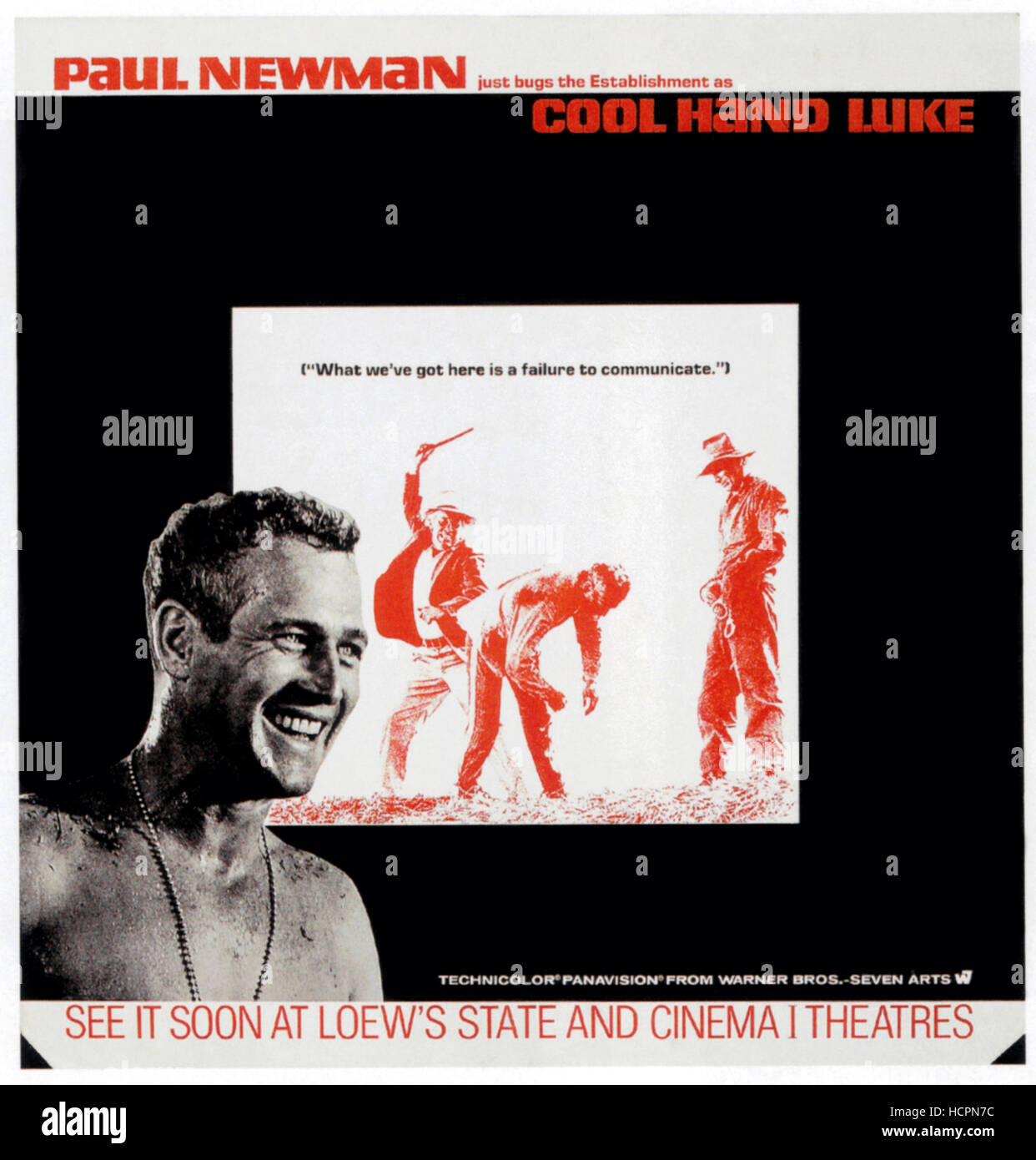 COOL HAND LUKE, left: Paul Newman, 1967 Stock Photo - Alamy