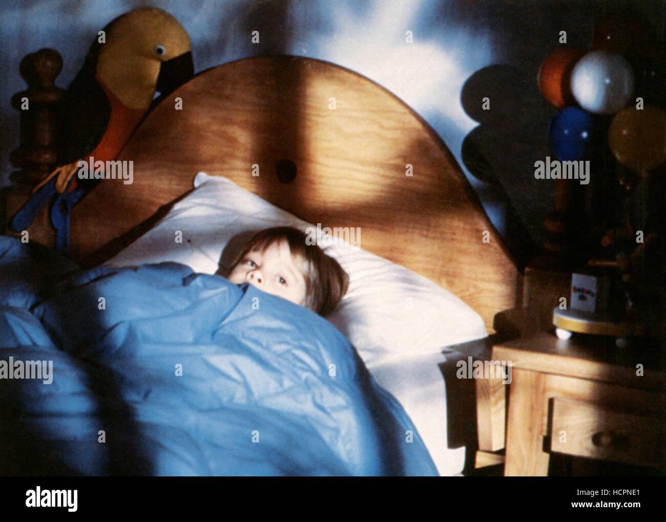 CUJO, Danny Pintauro, 1983, (c)Warner Bros./courtesy Everett Collection ...