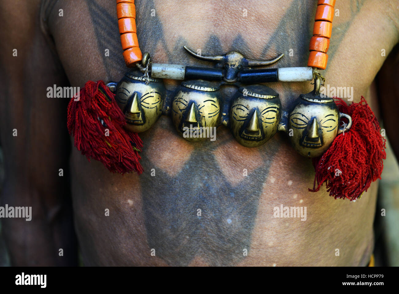 Portrait of a tattooed head hunter warrior from the Konyak tribe in ...
