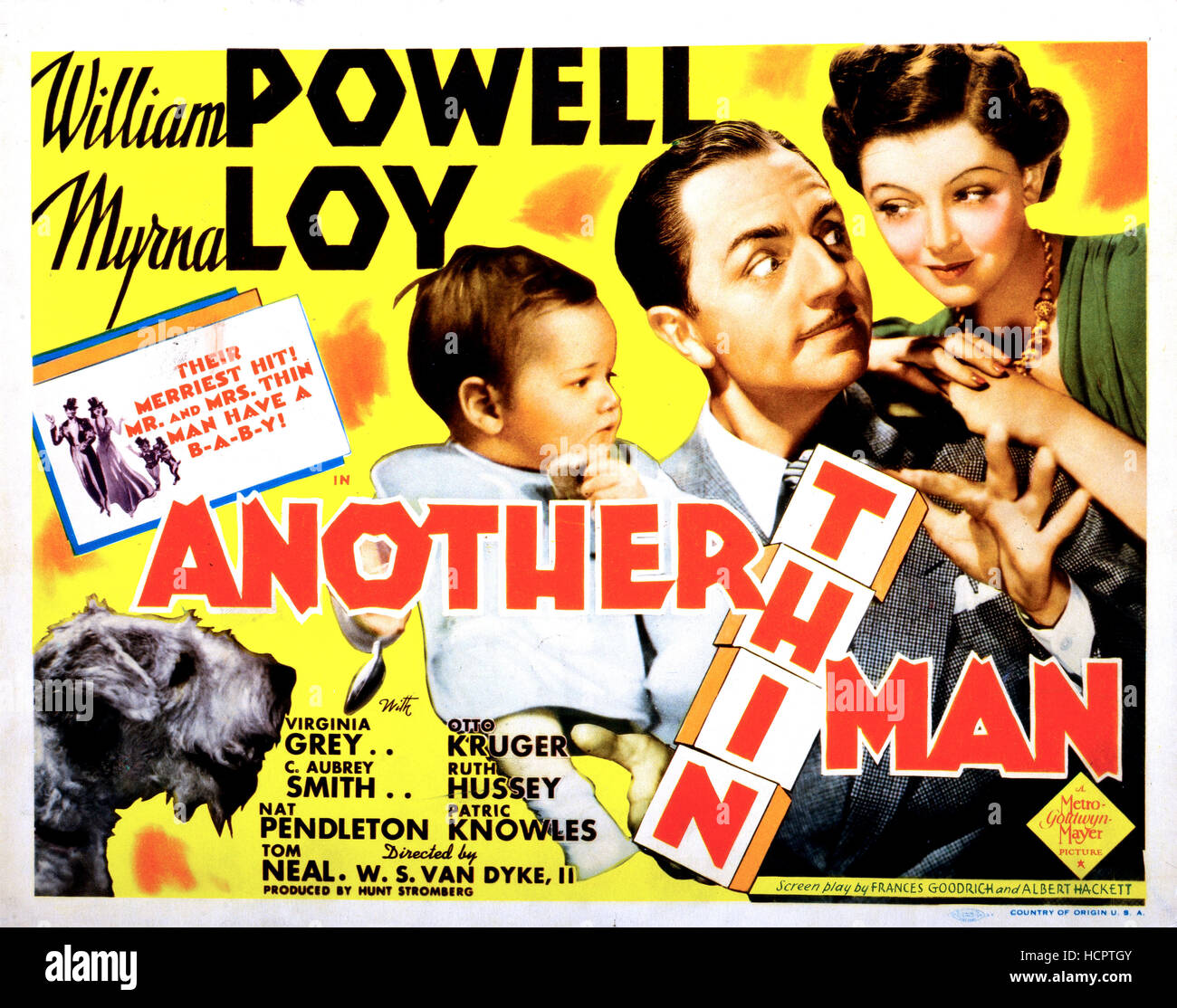 ANOTHER THIN MAN, Asta, William A. Poulsen, William Powell, Myrna Loy, 1939 Stock Photo - Alamy