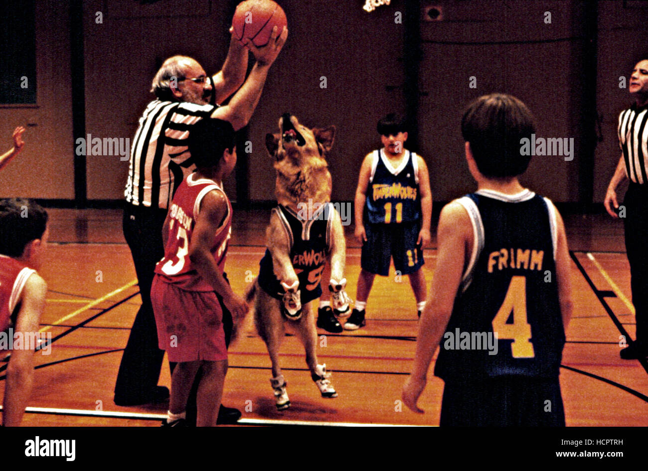 AIR BUD, Buddy, the golden retriever, in his basketball uniform, 1997 ...