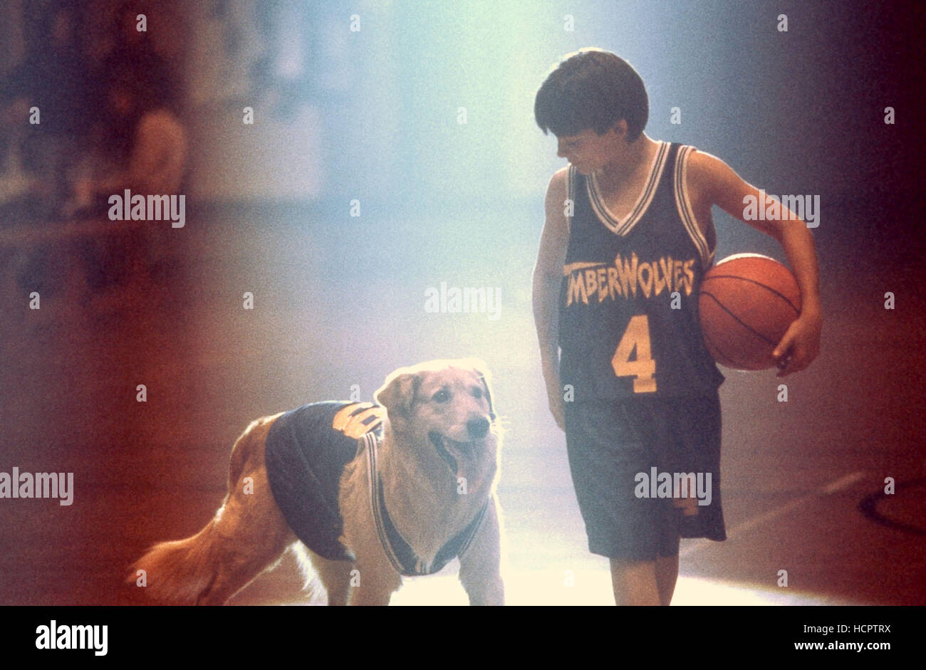 AIR BUD, Buddy the dog, Kevin Zegers, 1997, (c)Buena Vista Pictures ...