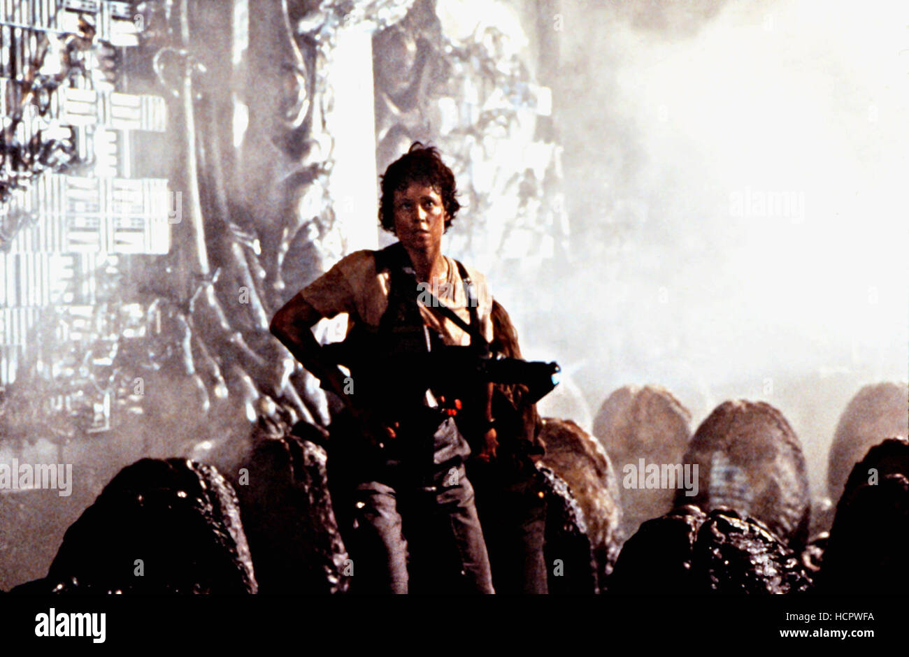 ALIENS, Sigourney Weaver, amongst the alien eggs in their nest, 1986 ...