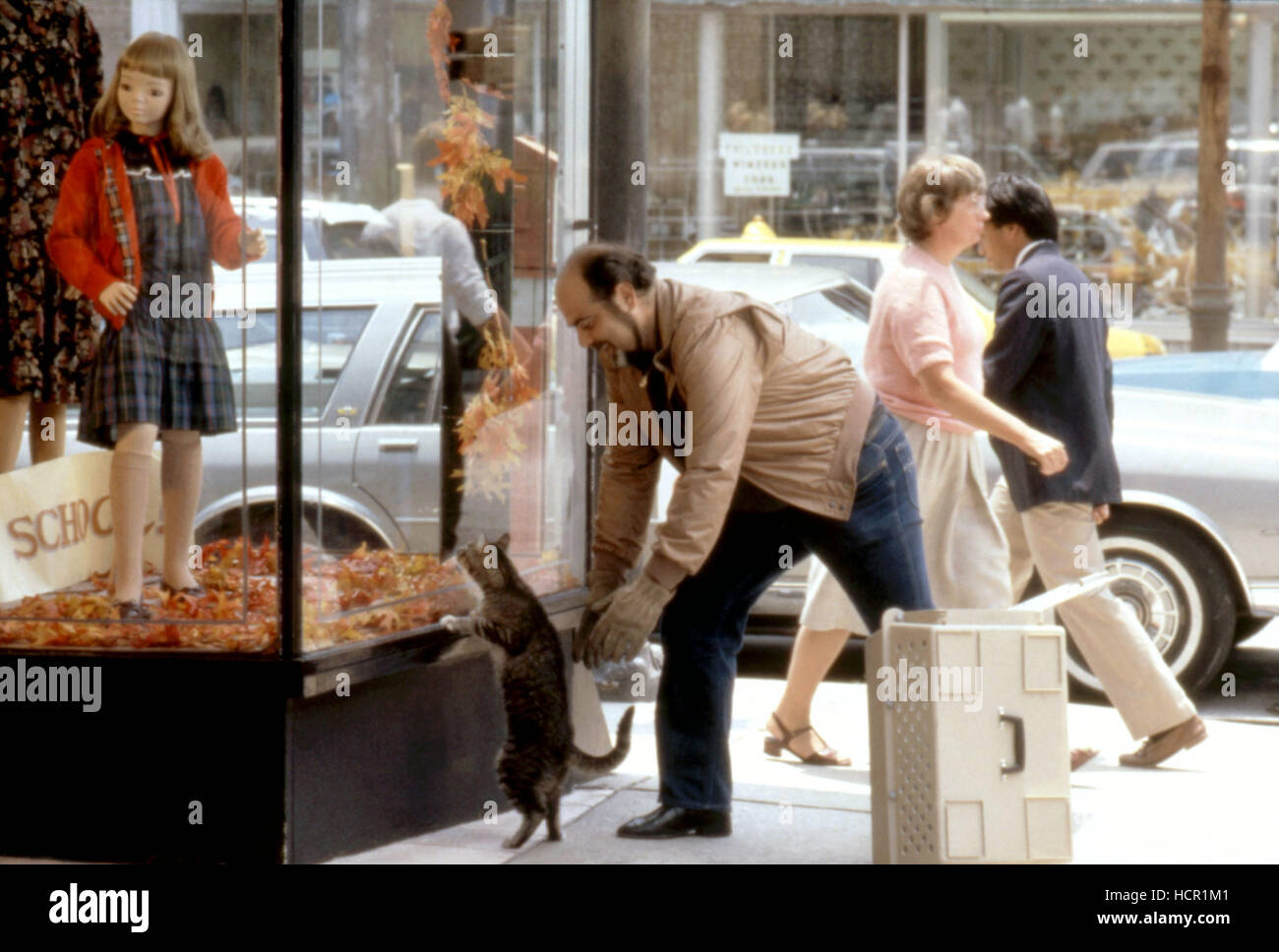 CAT'S EYE, Tony Munafo, 1985, (c)MGM/courtesy Everett Collection Stock ...