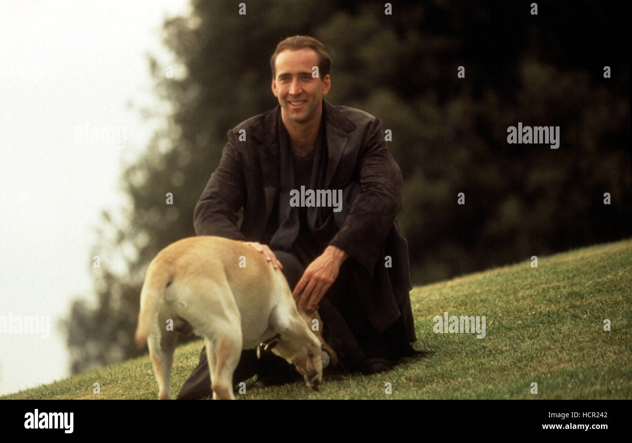 CITY OF ANGELS, Nicolas Cage, 1998 Stock Photo - Alamy