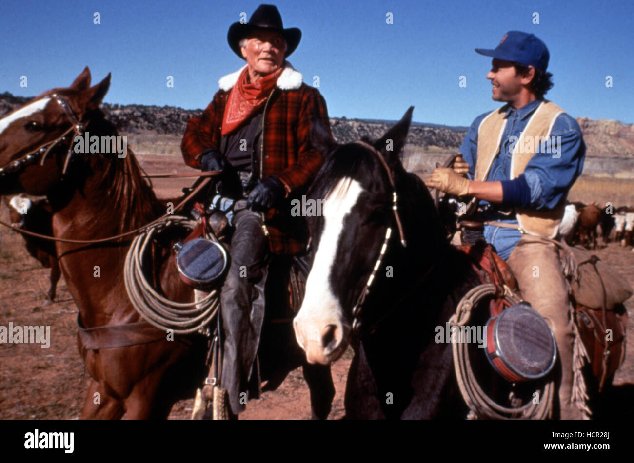 CITY SLICKERS II: THE LEGEND OF CURLY'S GOLD, Jack Palance, Billy ...
