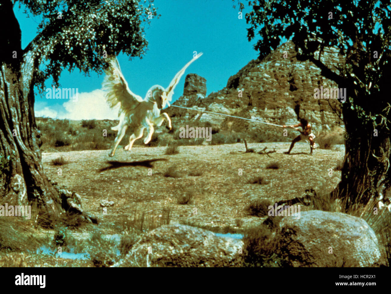 CLASH OF THE TITANS, Harry Hamlin as Perseus & Pegasus, 1981 Stock ...