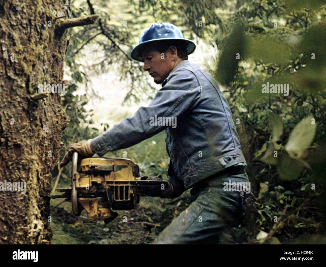 SOMETIMES A GREAT NOTION, Paul Newman, 1971 Stock Photo - Alamy