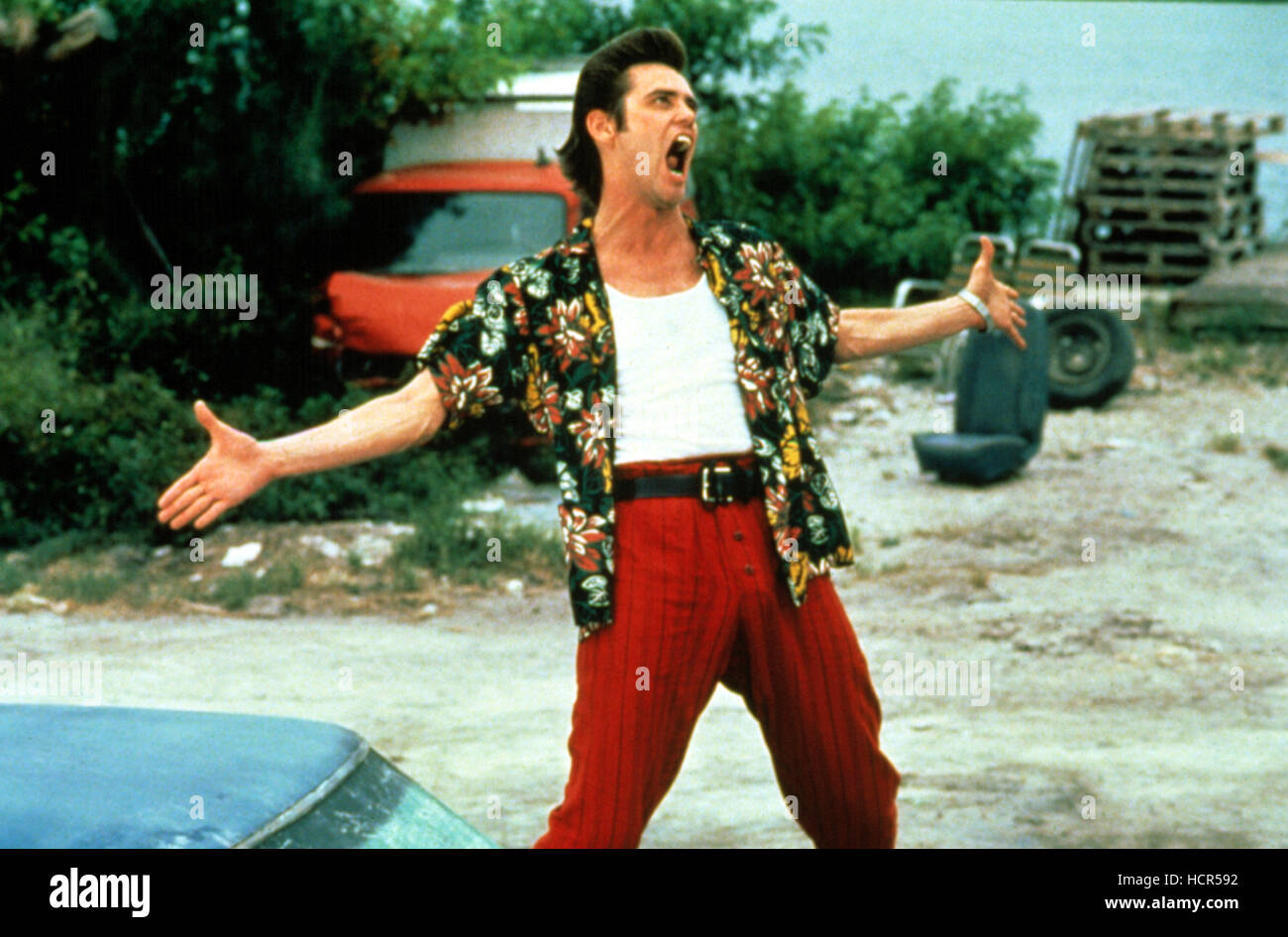 ACE VENTURA: PET DETECTIVE, Jim Carrey, 1994. ©Warner Brothers/courtesy ...