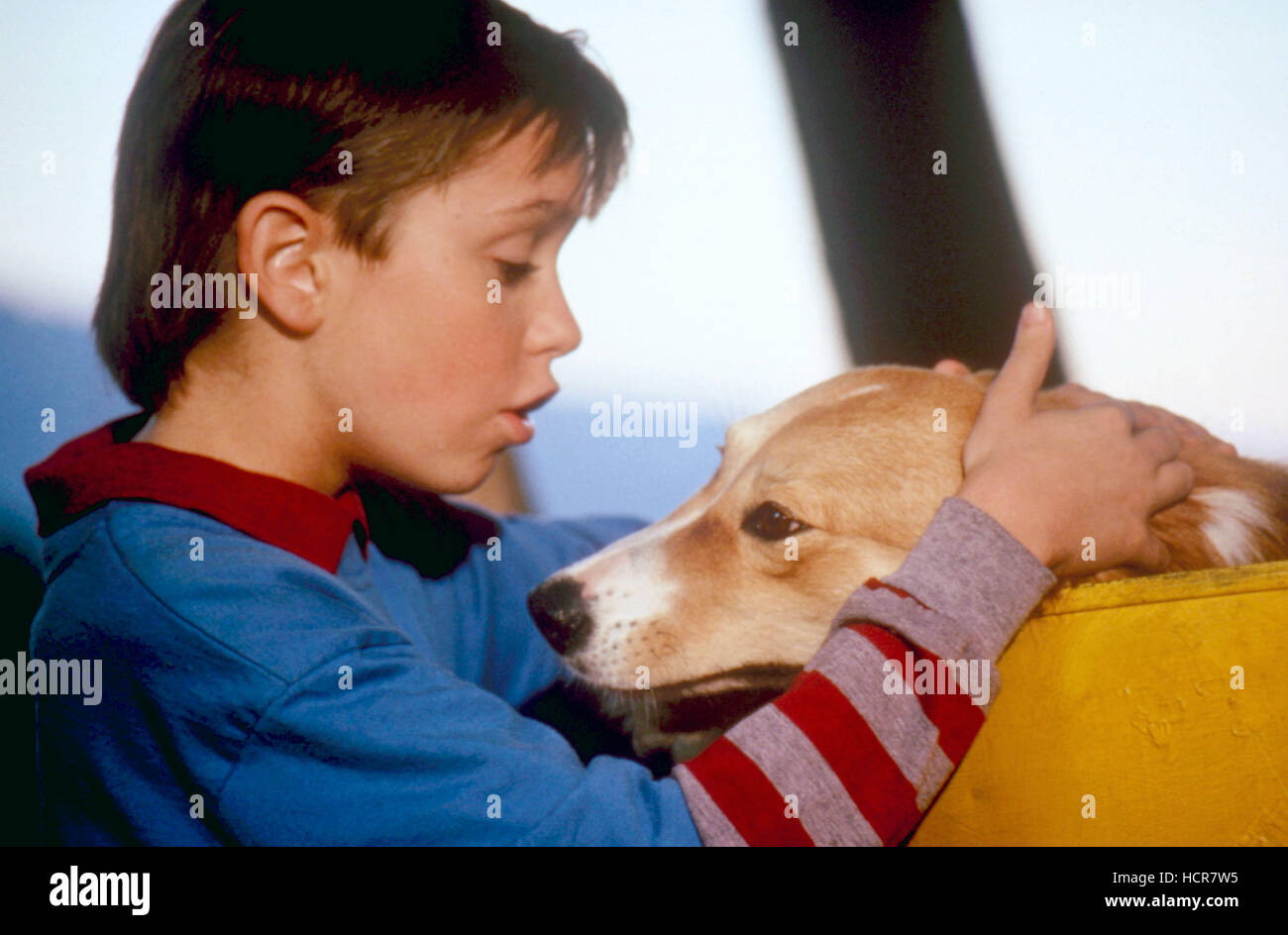 BINGO, Robert J. Steinmiller Jr., 1991, (c)TriStar Pictures/courtesy ...