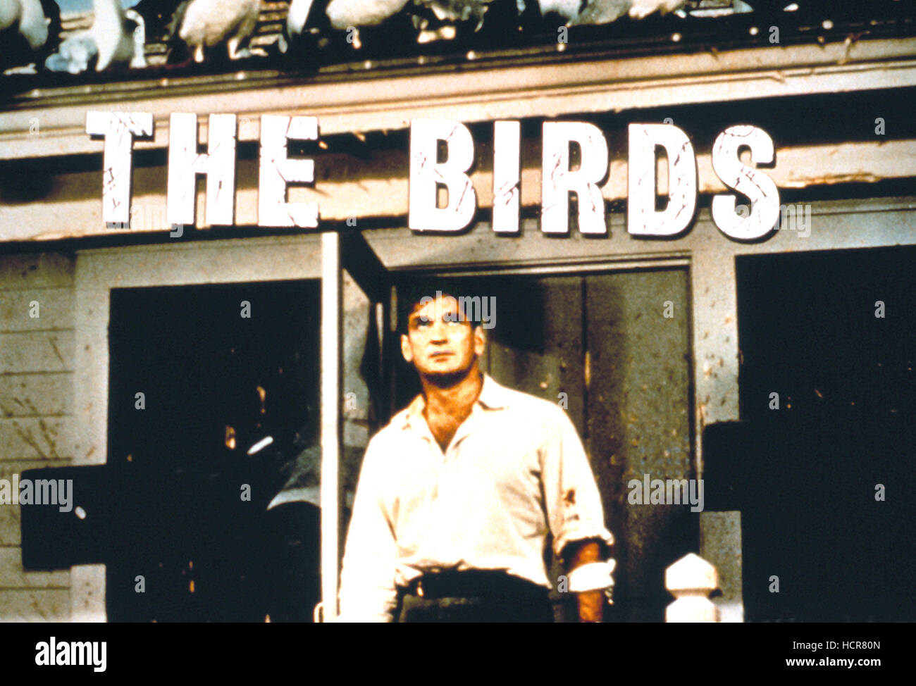 THE BIRDS, Rod Taylor, 1963 Stock Photo - Alamy