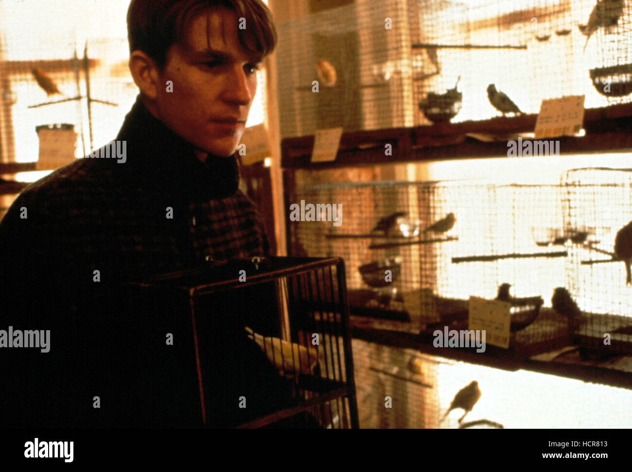 BIRDY, Matthew Modine, 1984 Stock Photo - Alamy