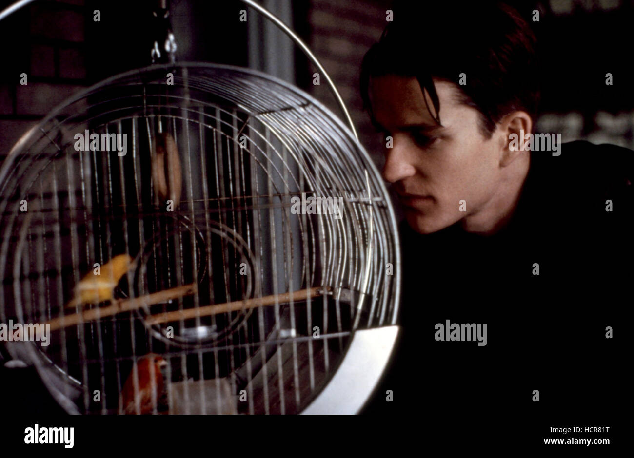 BIRDY, Matthew Modine, 1984, (c)TriStar Pictures/courtesy Everett ...
