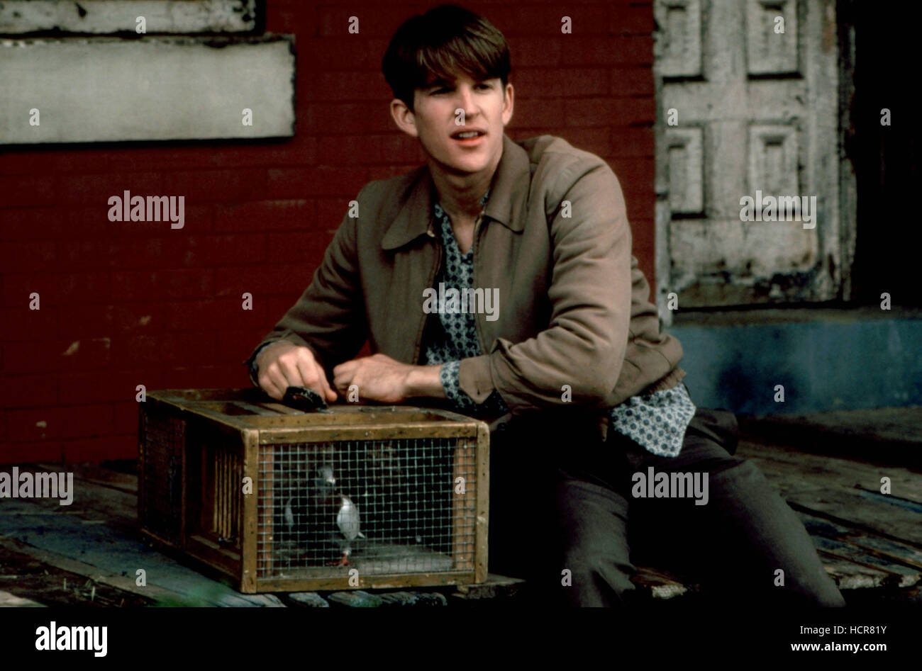 BIRDY, Matthew Modine, 1984, (c)TriStar Pictures/courtesy Everett ...