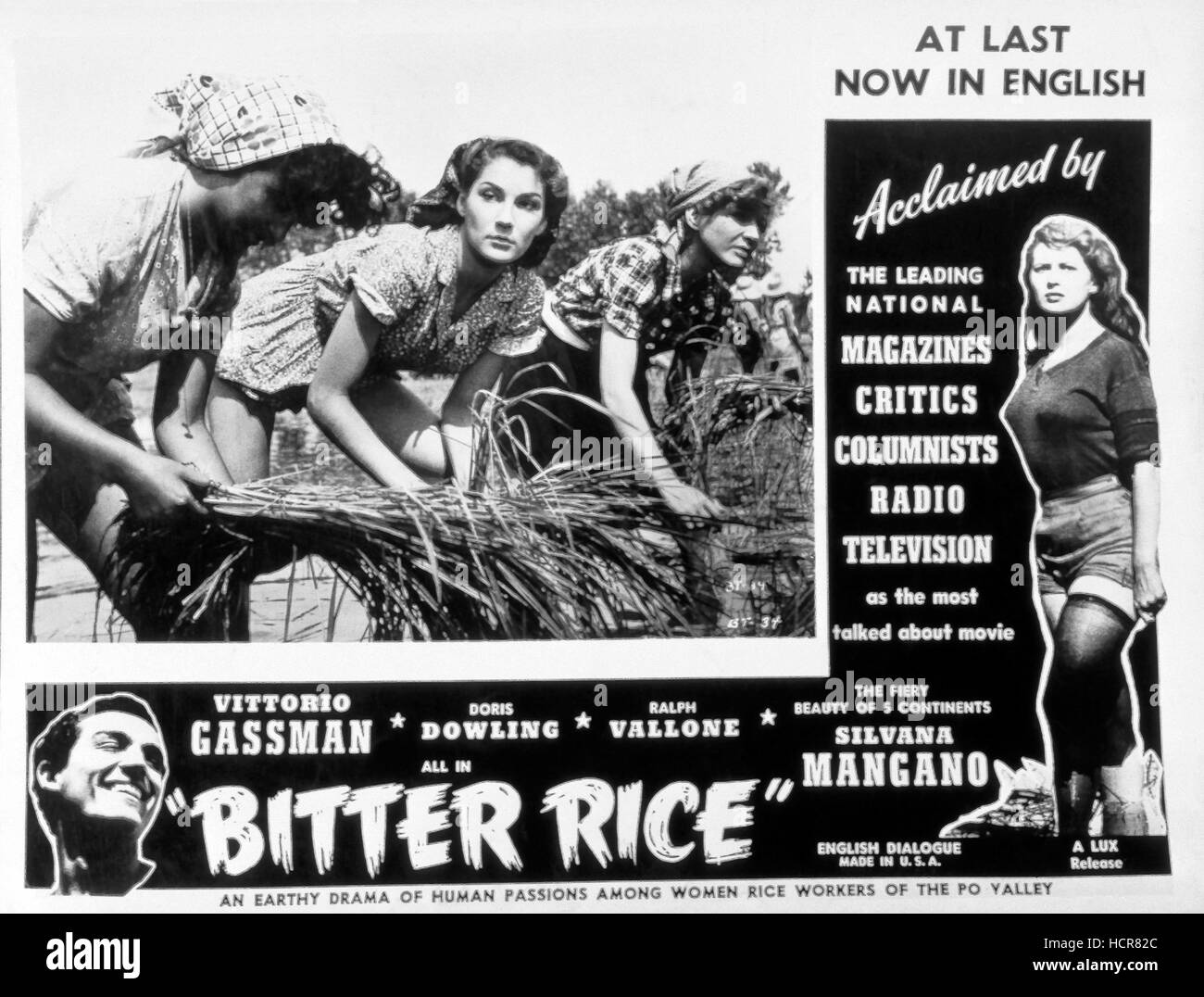 BITTER RICE, (aka RISO AMARO), Doris Dowling (top center), Vittorio ...