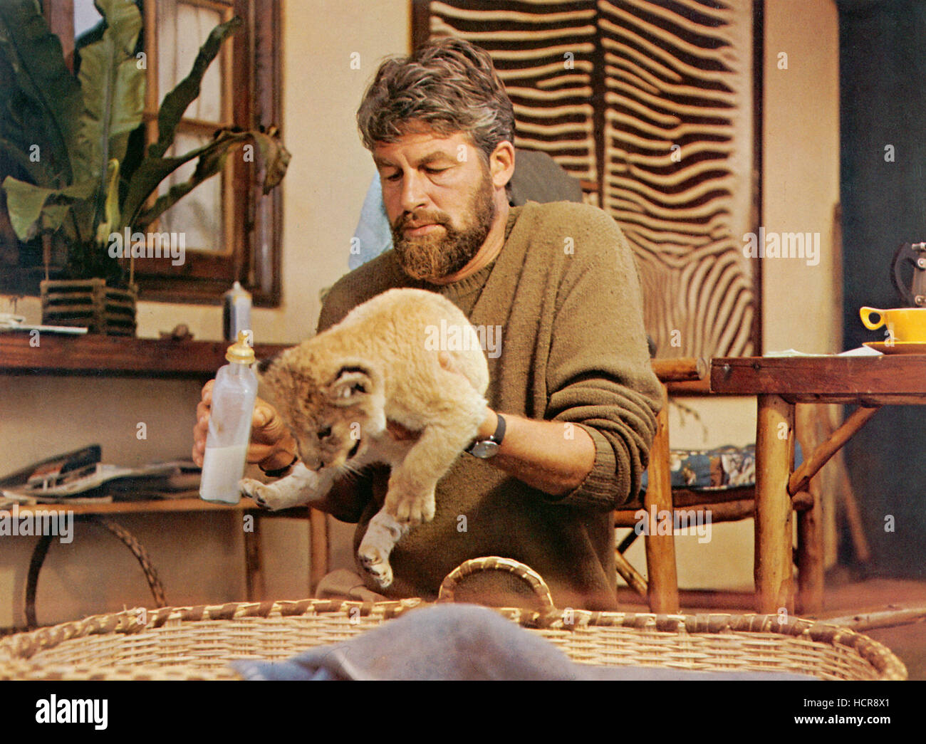 BORN FREE, Bill Travers, 1966 Stock Photo - Alamy