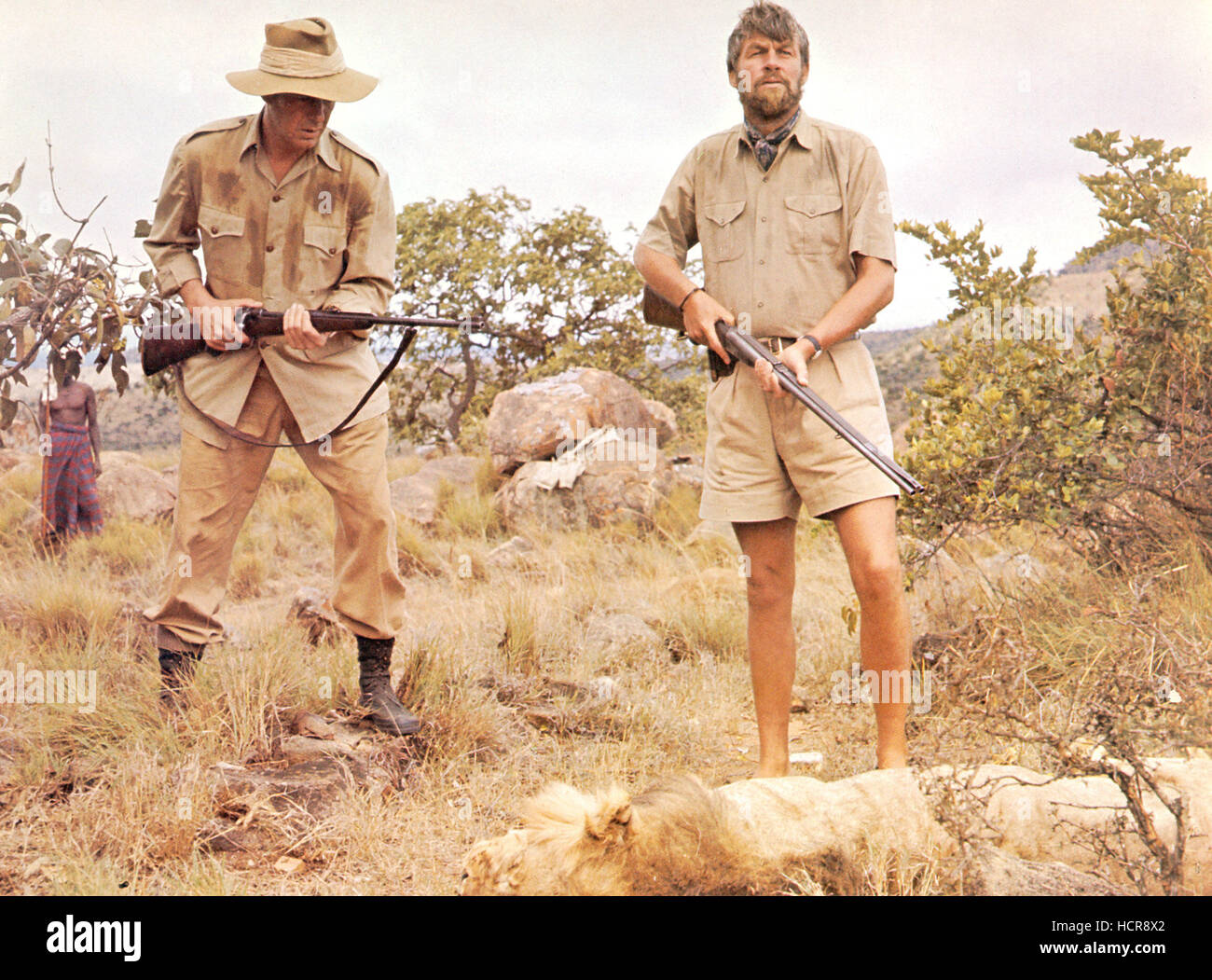 BORN FREE, Geoffrey Keen, Bill Travers, 1966 Stock Photo - Alamy