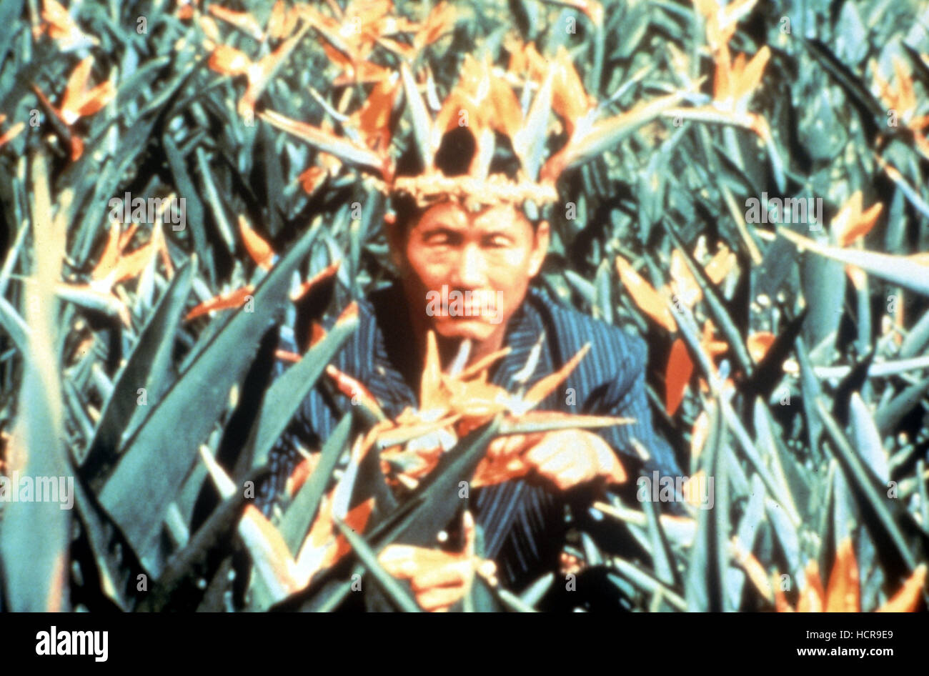 BOILING POINT, Takeshi Kitano, 1990 Stock Photo - Alamy