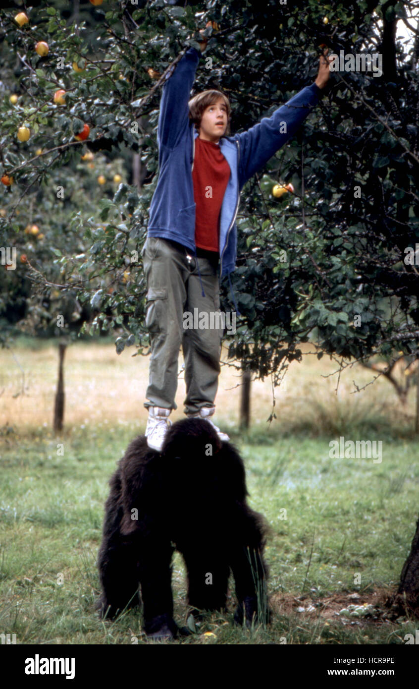 BORN TO BE WILD, Wil Horneff, 1995, (c)Warner Bros./courtesy Everett ...