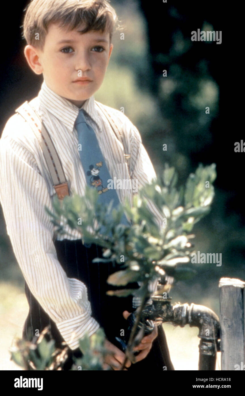 CAREFUL, HE MIGHT HEAR YOU, Nicholas Gledhill, 1984.©20th Century Fox ...