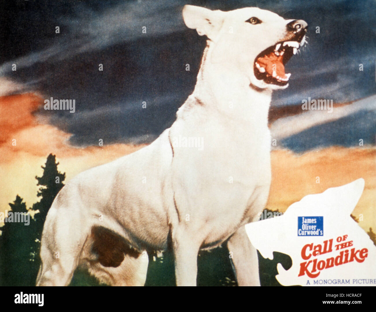 CALL OF THE KLONDIKE, Chinook on lobbycard, 1950 Stock Photo - Alamy